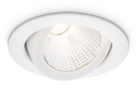 Philips Luxspace Accent Compact Adjustable Downlight
