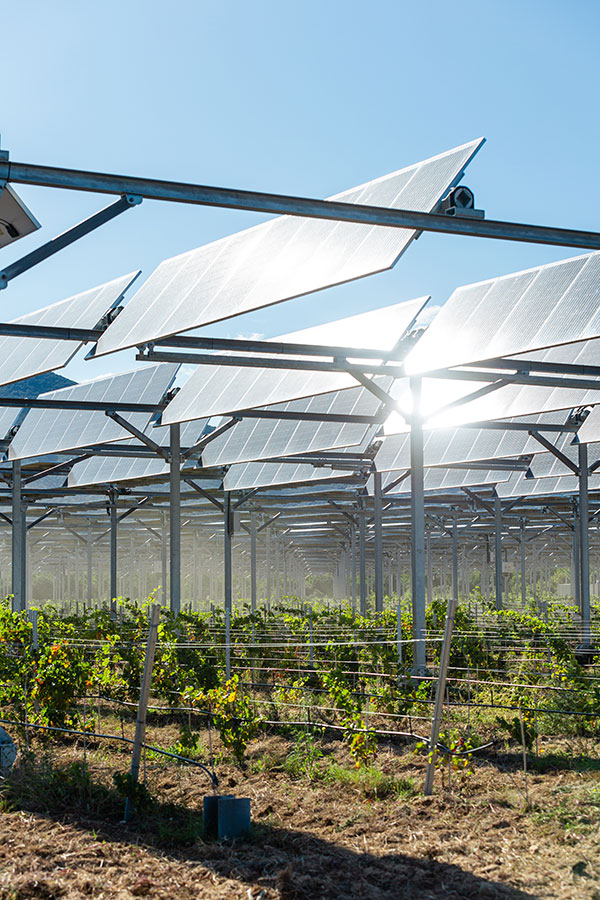 AV Studio - Photovoltaic Solar Panels System By Sun Agri