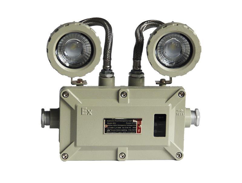 Epicstarex - Ex Emergency Fixtures - ESX – Emergency Light By ...