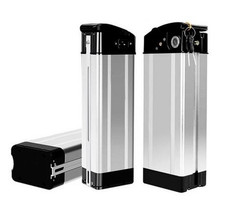 Bright Power - 48V 20Ah - Ebike Battery - Silver Fish Ebike Battery ...