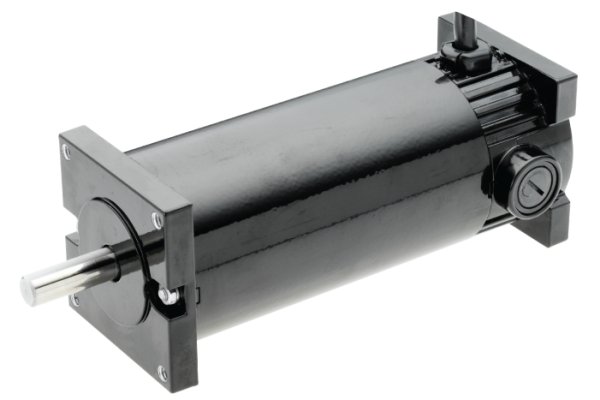 Bison 203 Series PMDC Motors