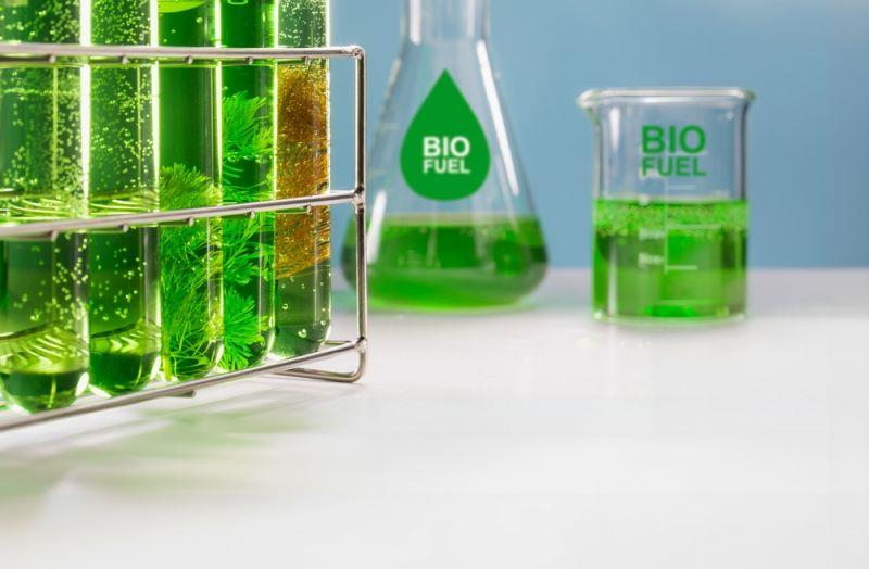 Algae Matrix Bioreactor Tank System (AMTS) For Biofuels - Energy ...