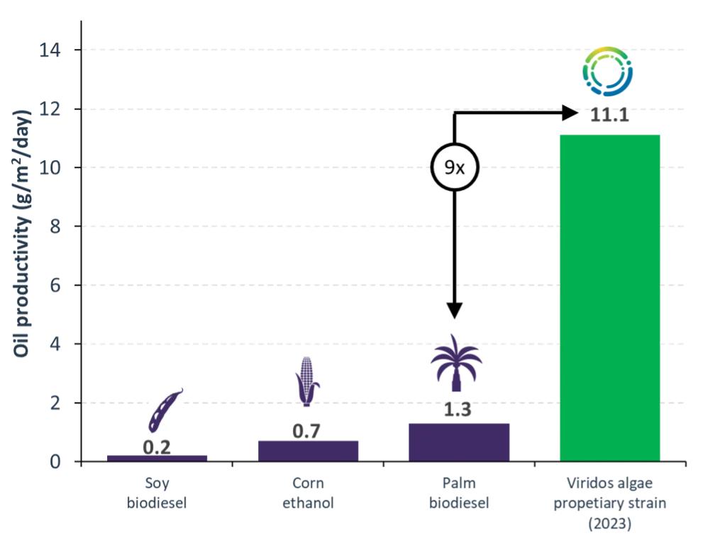 Viridos Algae Biofuel Technology