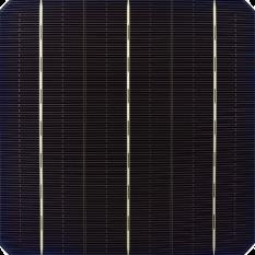 Motech - XS156B3 - Solar Cells - Solar Cell by Motech ...