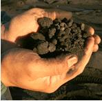 Oxbow Petroleum Coke