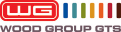 Power Plant Services by Wood Group GTS