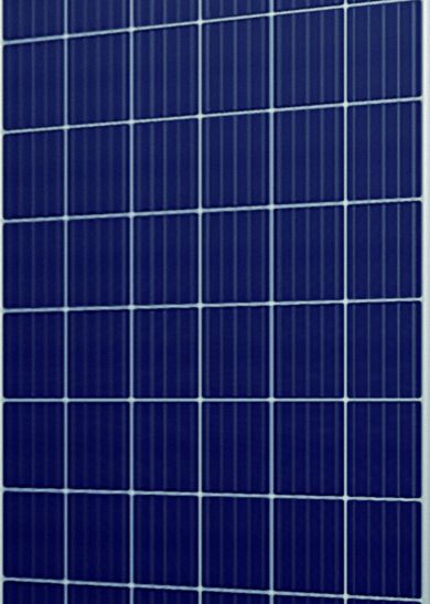 Perlight Solar - PLM-270P-60DG Series - Double Glass - Double Glass ...