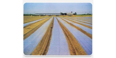 Agricultural Group - Solarization Film by Vural Plastik