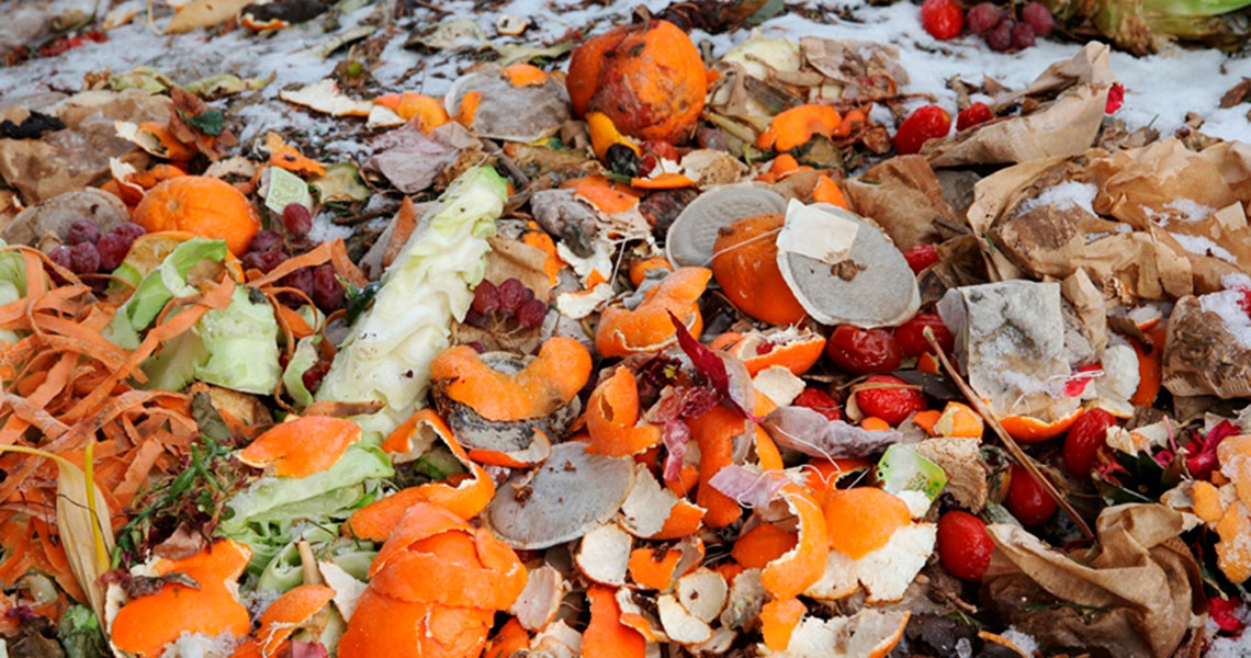 Innovative Waste-To-Resource Solution: Biochar Production ...