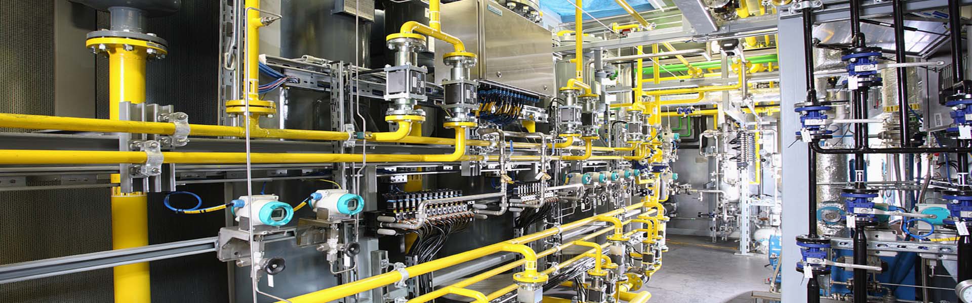 Plants for Upgrading and Injection Into Natural Gas Grid